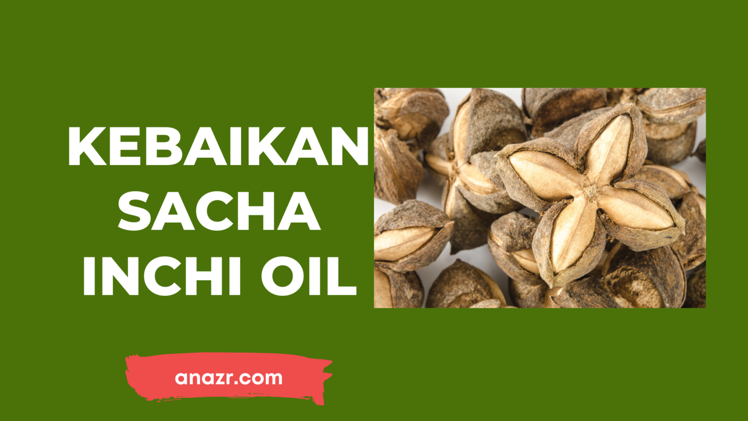 Ini 8 Kebaikan Sacha Inchi Oil Yang Ramai Tak Tahu